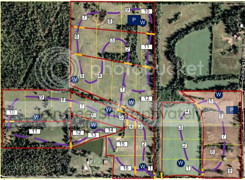 MIG Layout | CattleToday.com - Cattle, Cow & Ranching Community